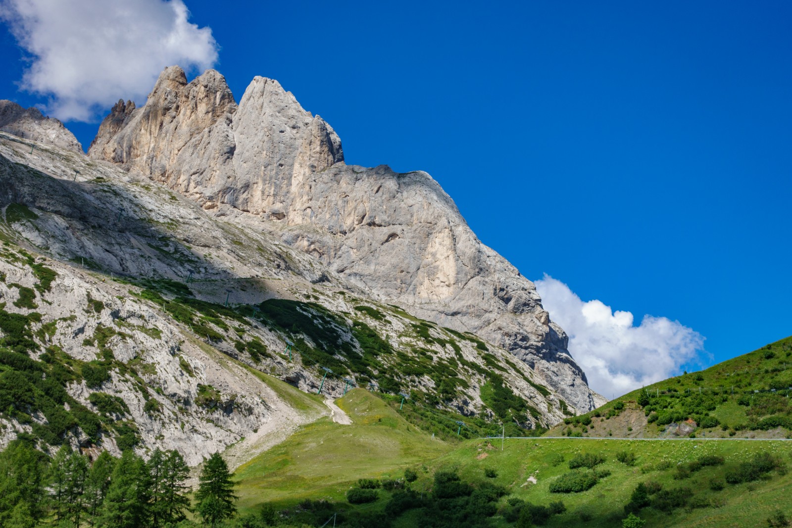 Marmolada - Mountain Field Guide