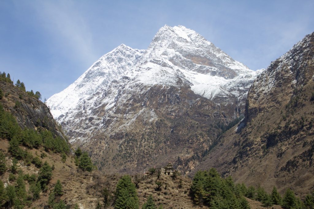 Chamar - Mountain Field Guide