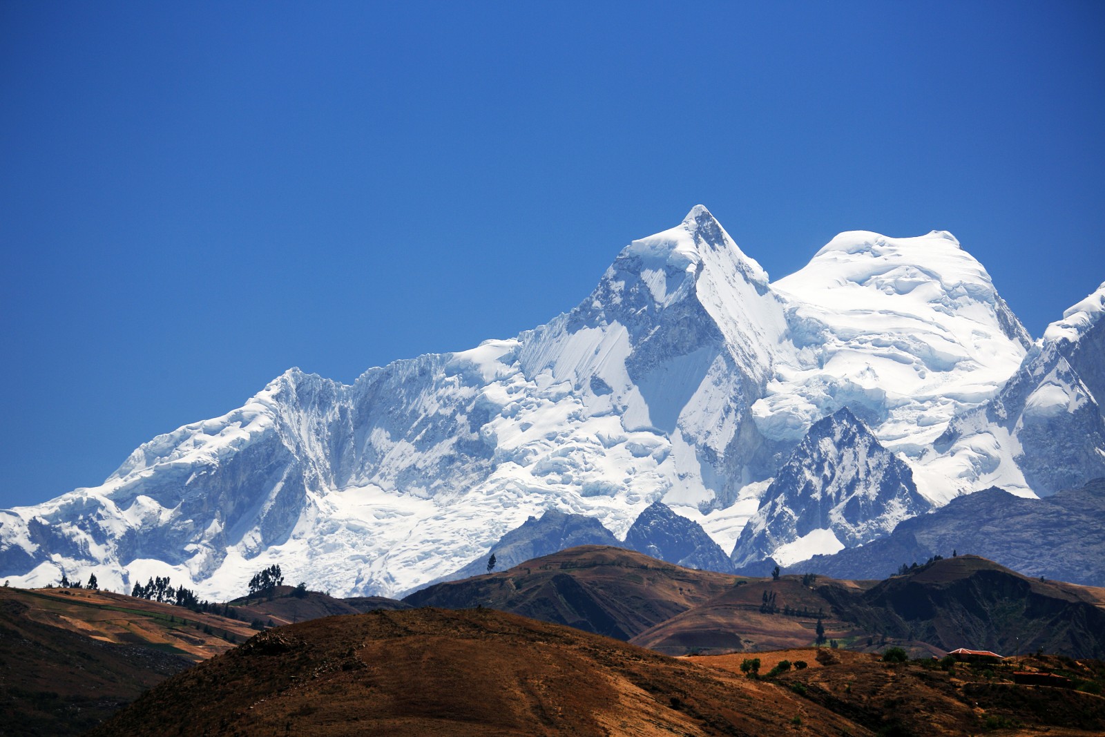 Huascarán - Mountain Field Guide