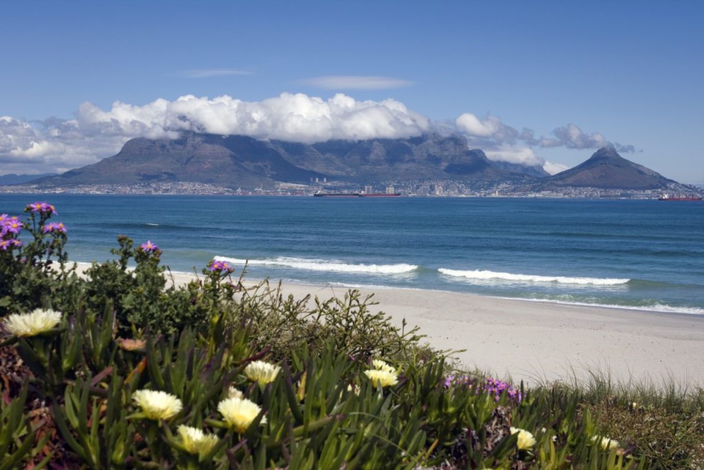 Table Mountain - Mountain Field Guide