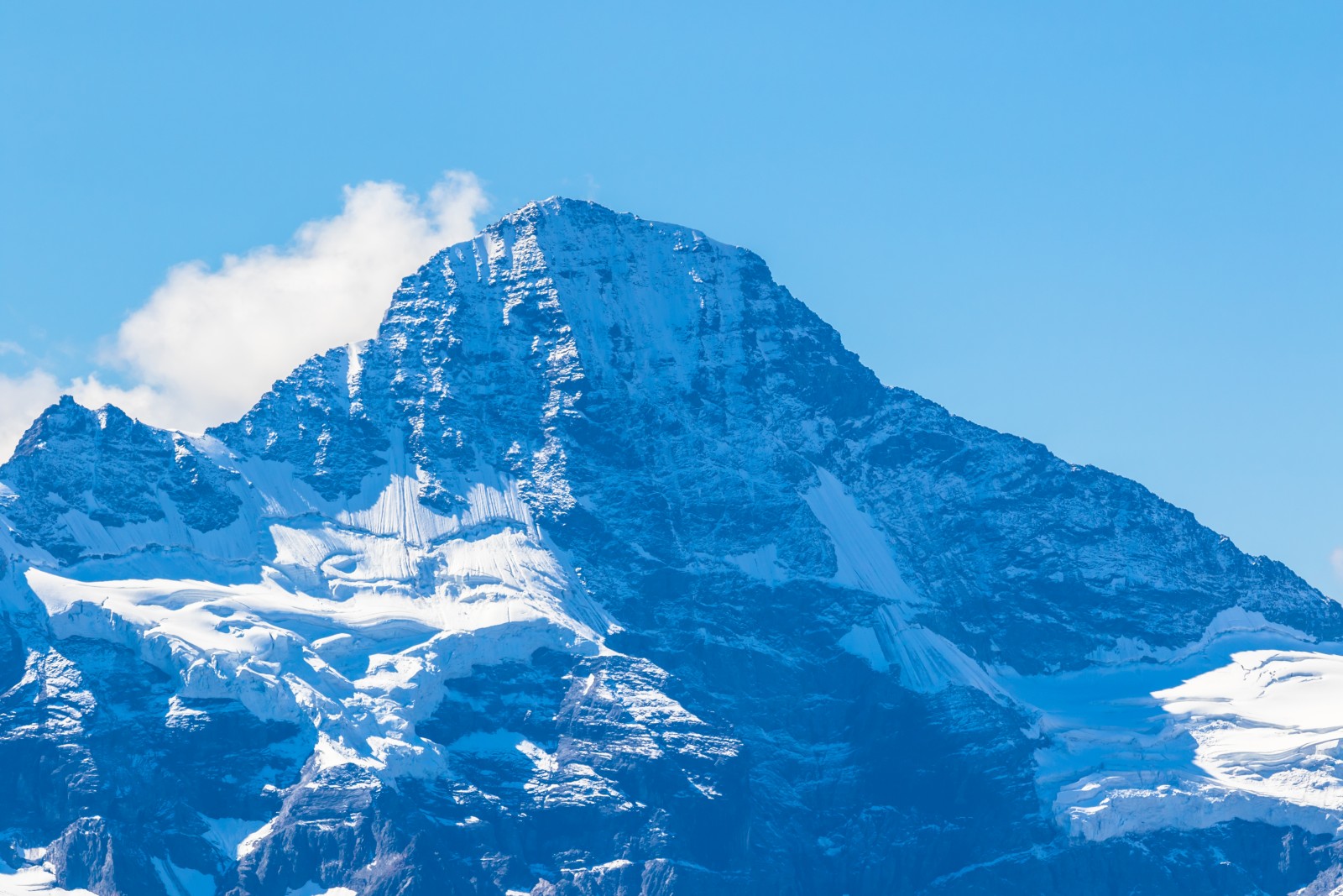 Breithorn (Lauterbrunnen) - Mountain Field Guide