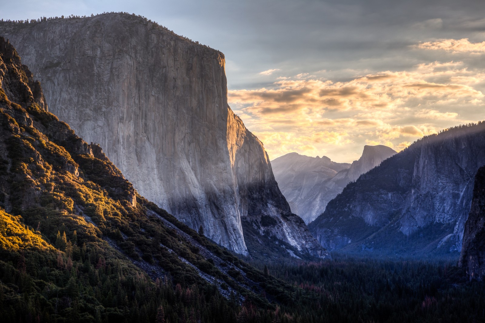 El Capitan - Mountain Field Guide