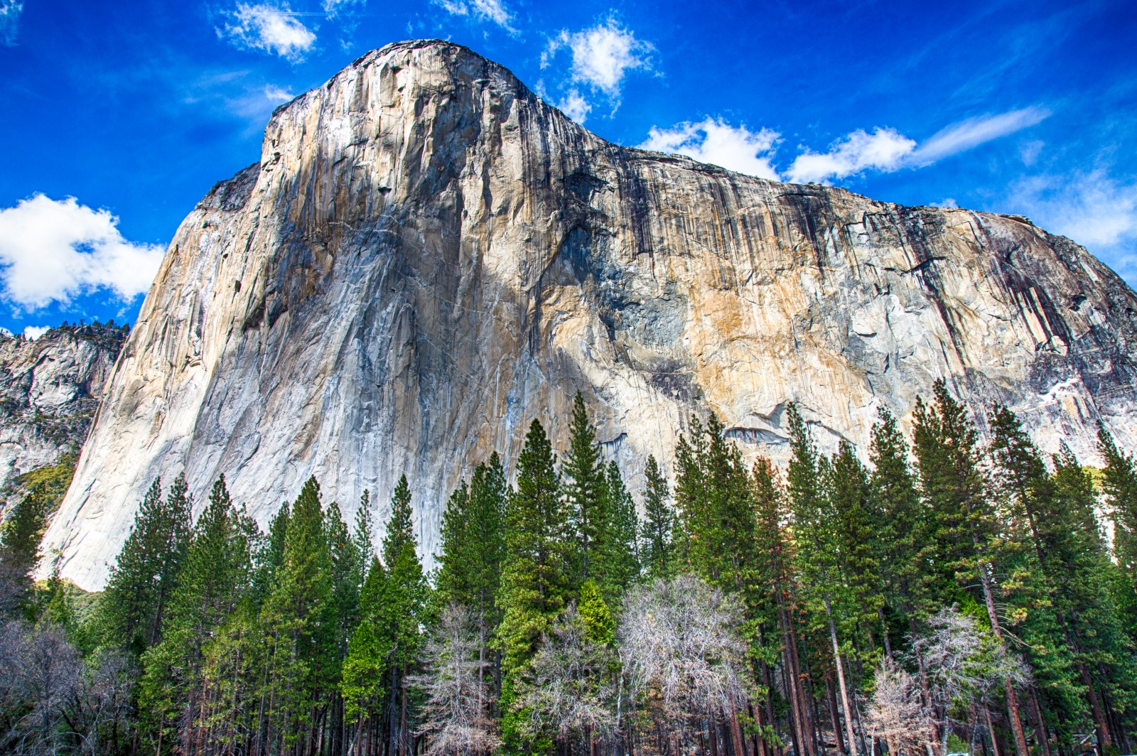 El Capitan - Mountain Field Guide