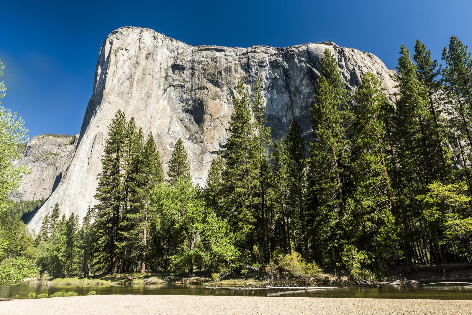 El Capitan - Mountain Field Guide