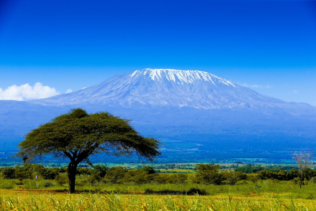 Mount Kilimanjaro - Mountain Field Guide