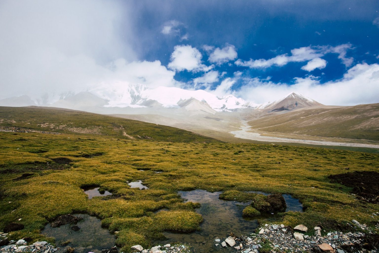 Amne Machin - Mountain Field Guide