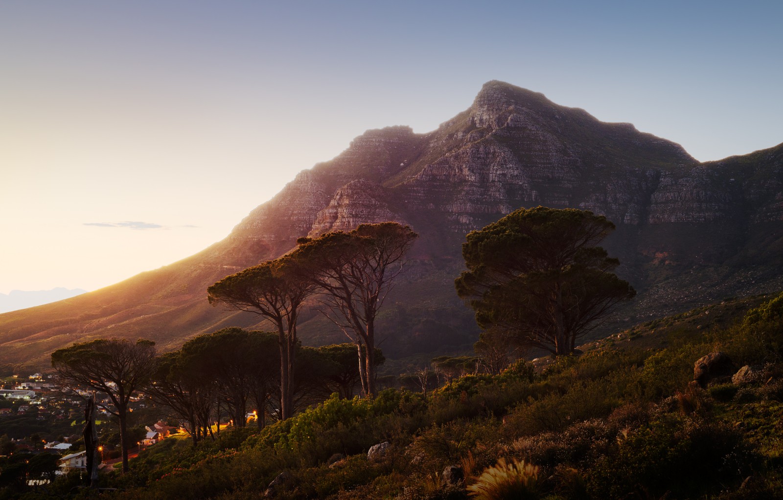 Devil's Peak - Mountain Field Guide