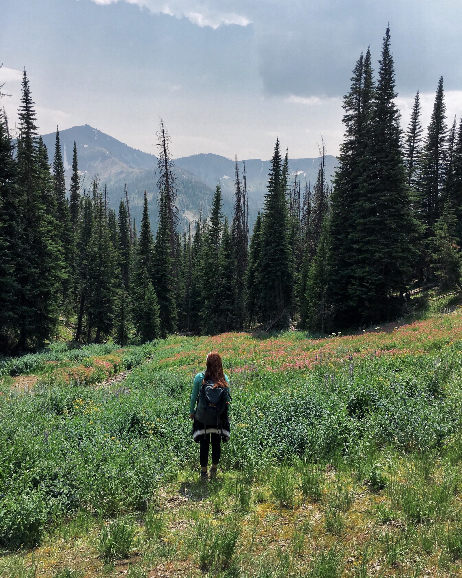 Avalanche Peak – Mountain Field Guide