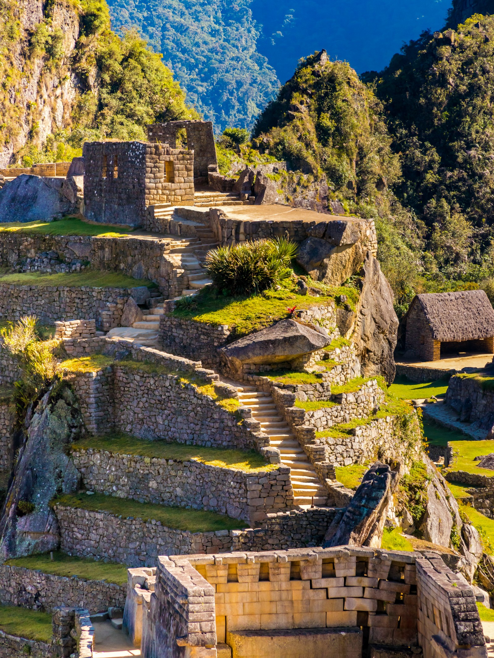 Huayna Picchu - Mountain Field Guide
