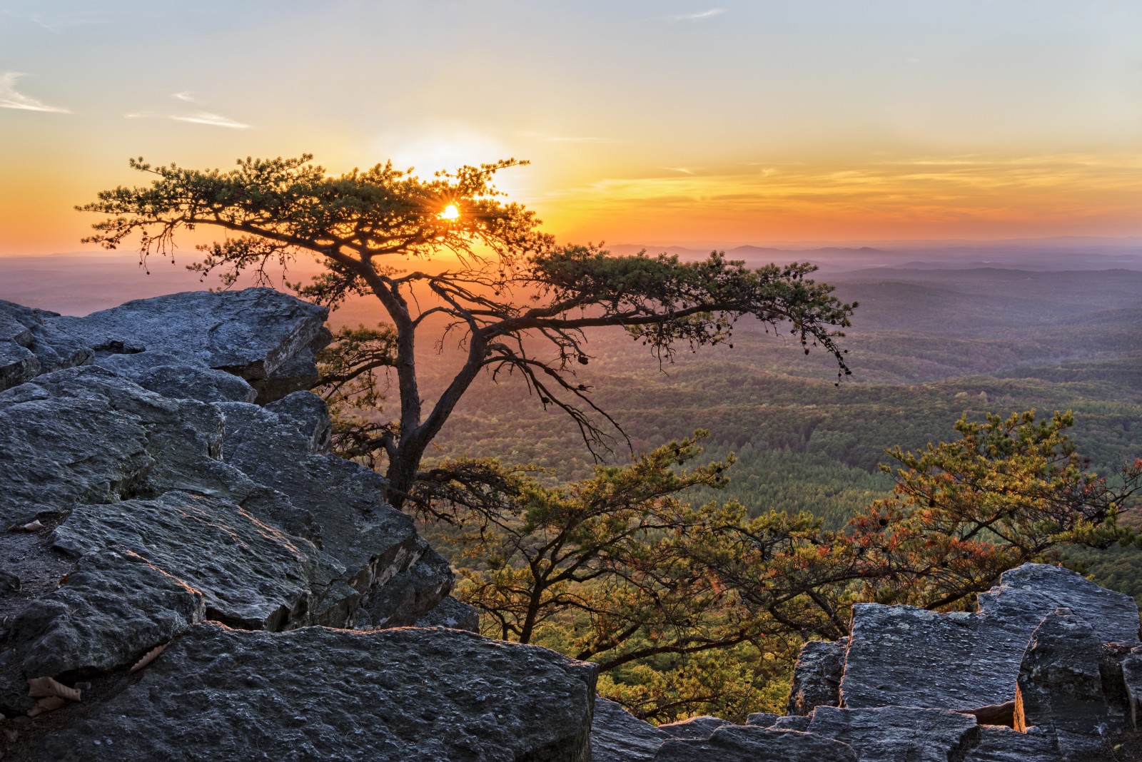Cheaha Mountain - Mountain Field Guide