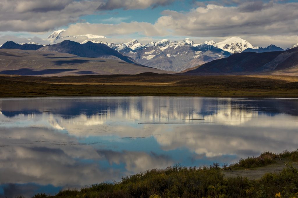Mount Deborah - Mountain Field Guide