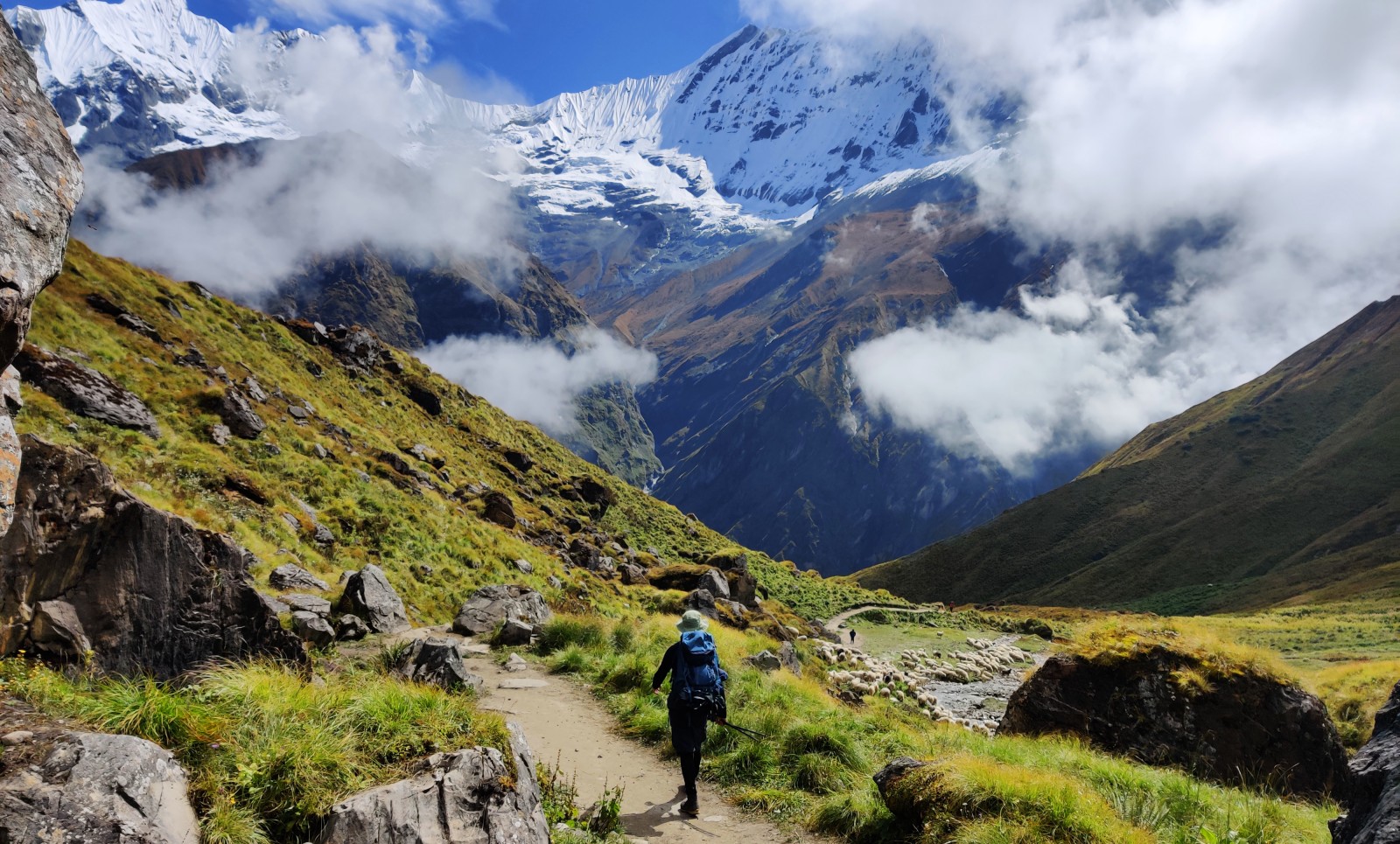 Machapuchare - Mountain Field Guide