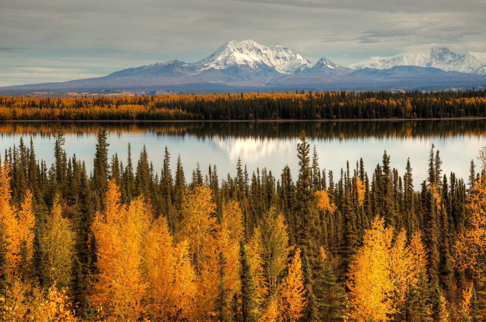 Mount Wrangell - Mountain Field Guide
