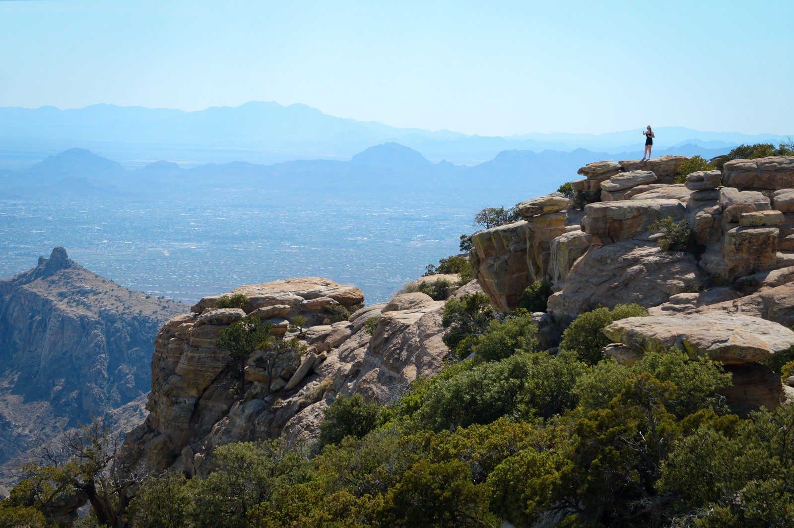 Mount Lemmon - Mountain Field Guide