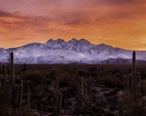 Four Peaks - Mountain Field Guide