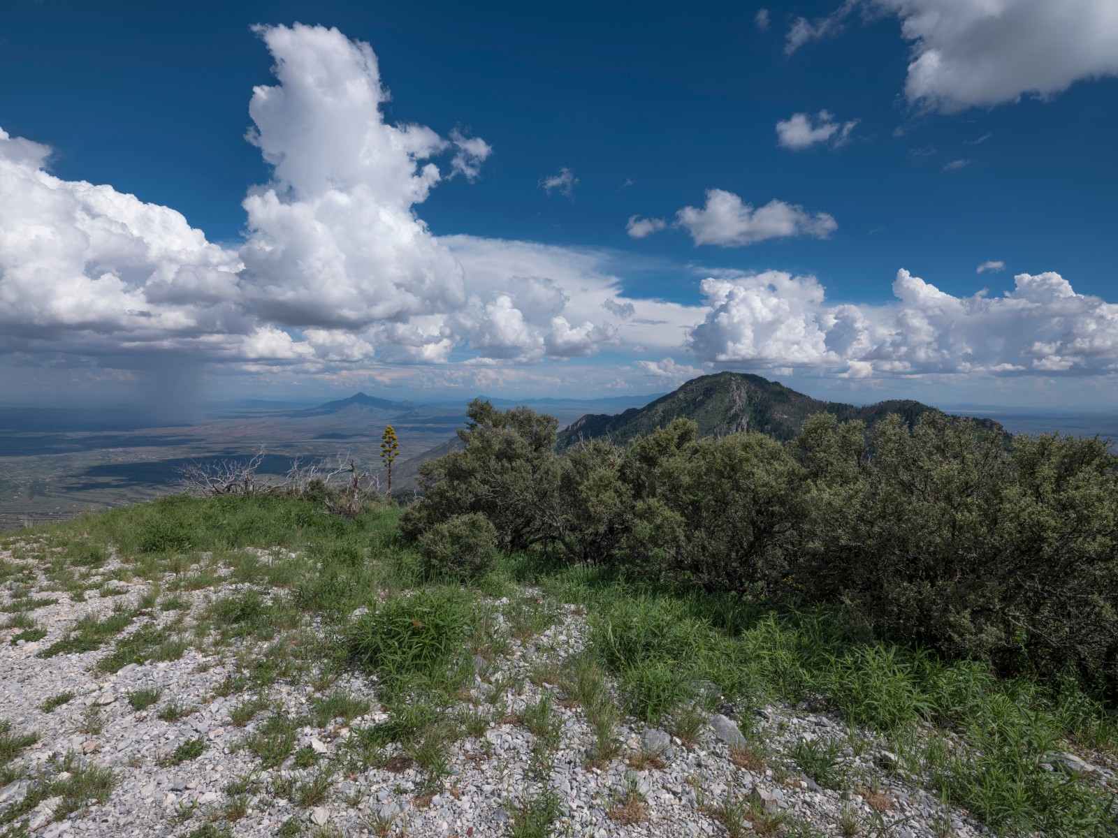 Carr Peak - Mountain Field Guide