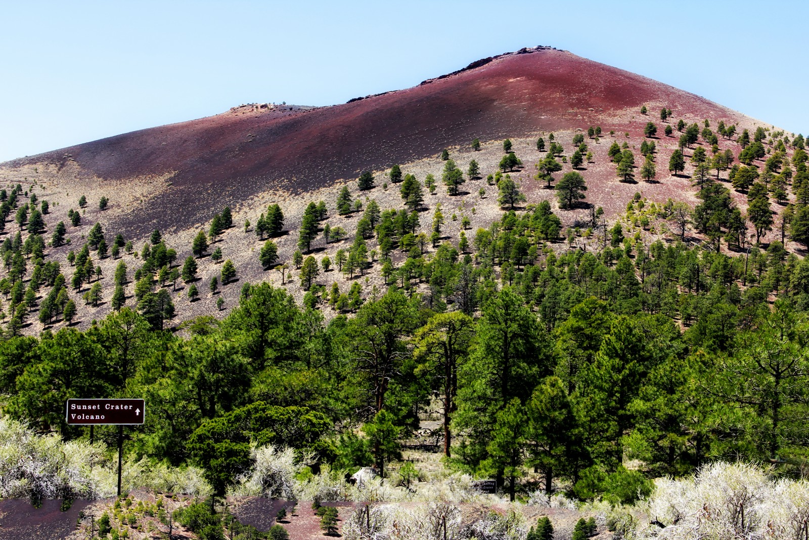 Lenox Crater Trail - Mountain Field Guide