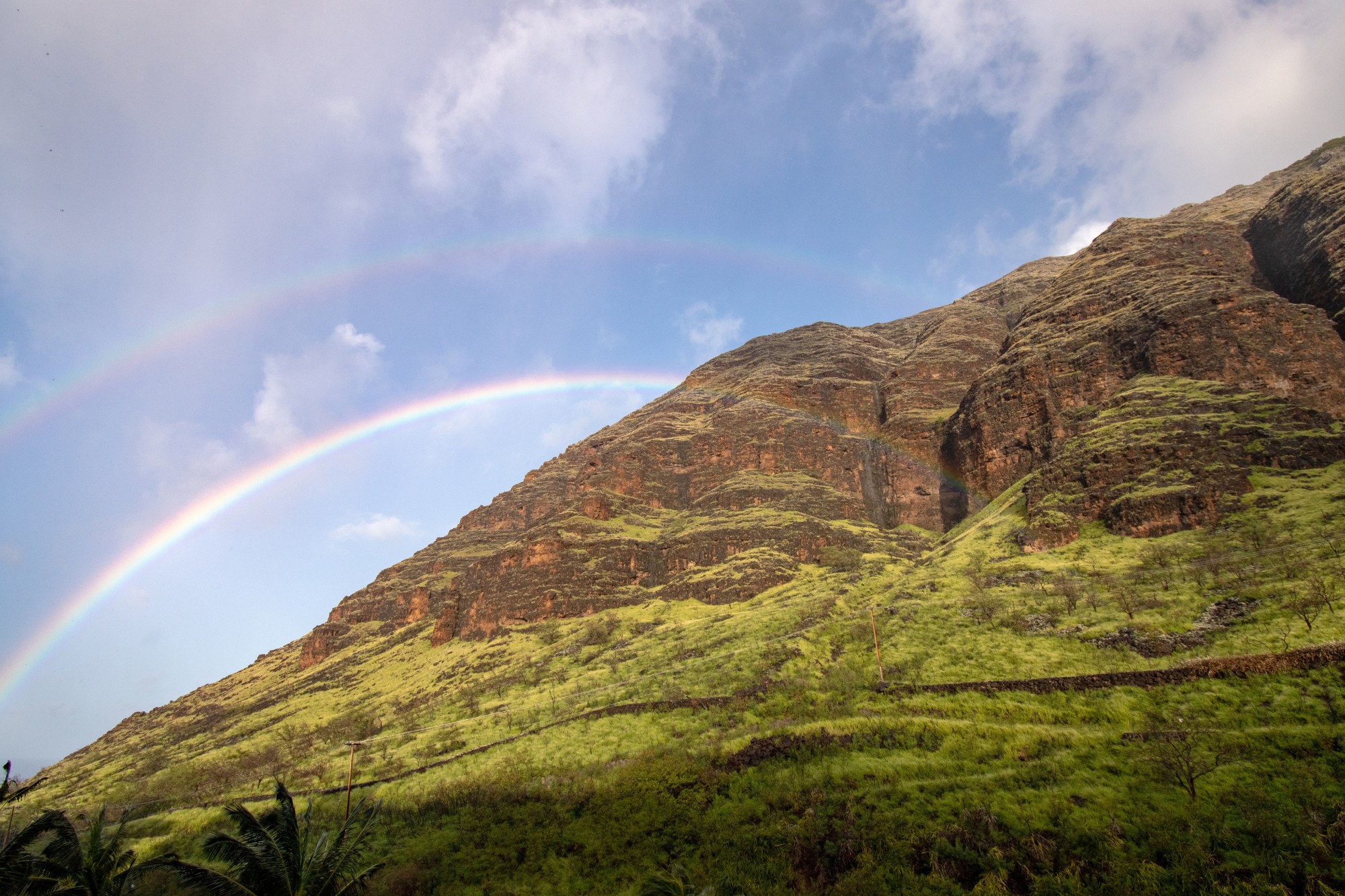 Discovering Kaʻala: A Journey to Oahu's Highest Peak - Mountain Field Guide