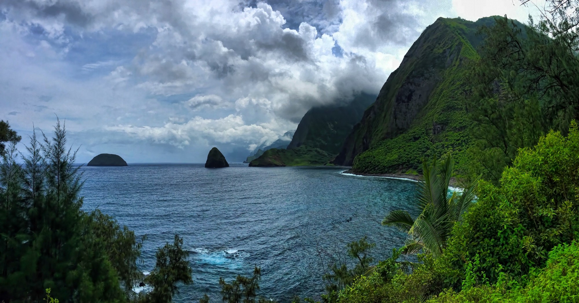 Puʻu Alii - Mountain Field Guide