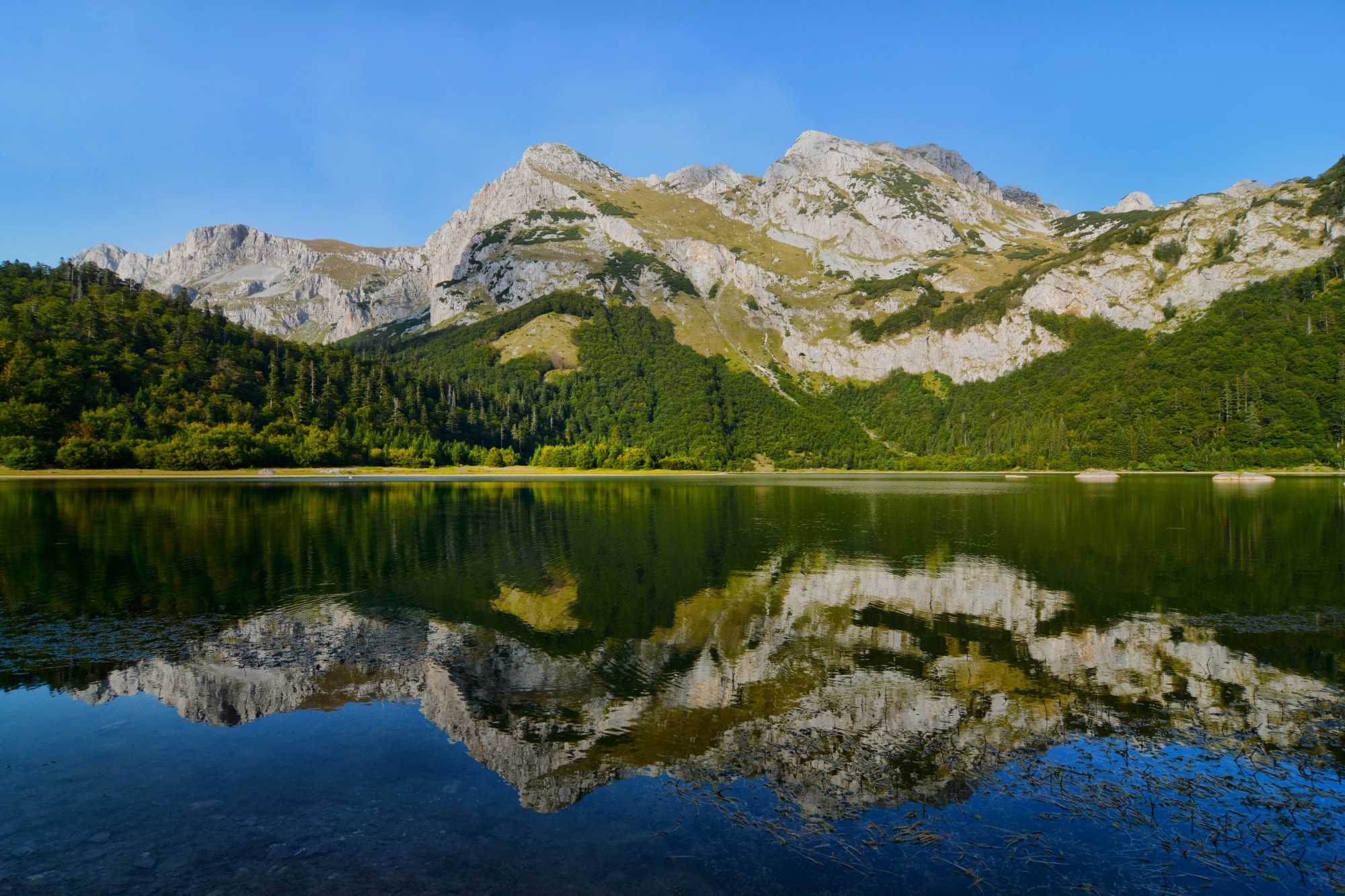 Mount Maglic - Mountain Field Guide