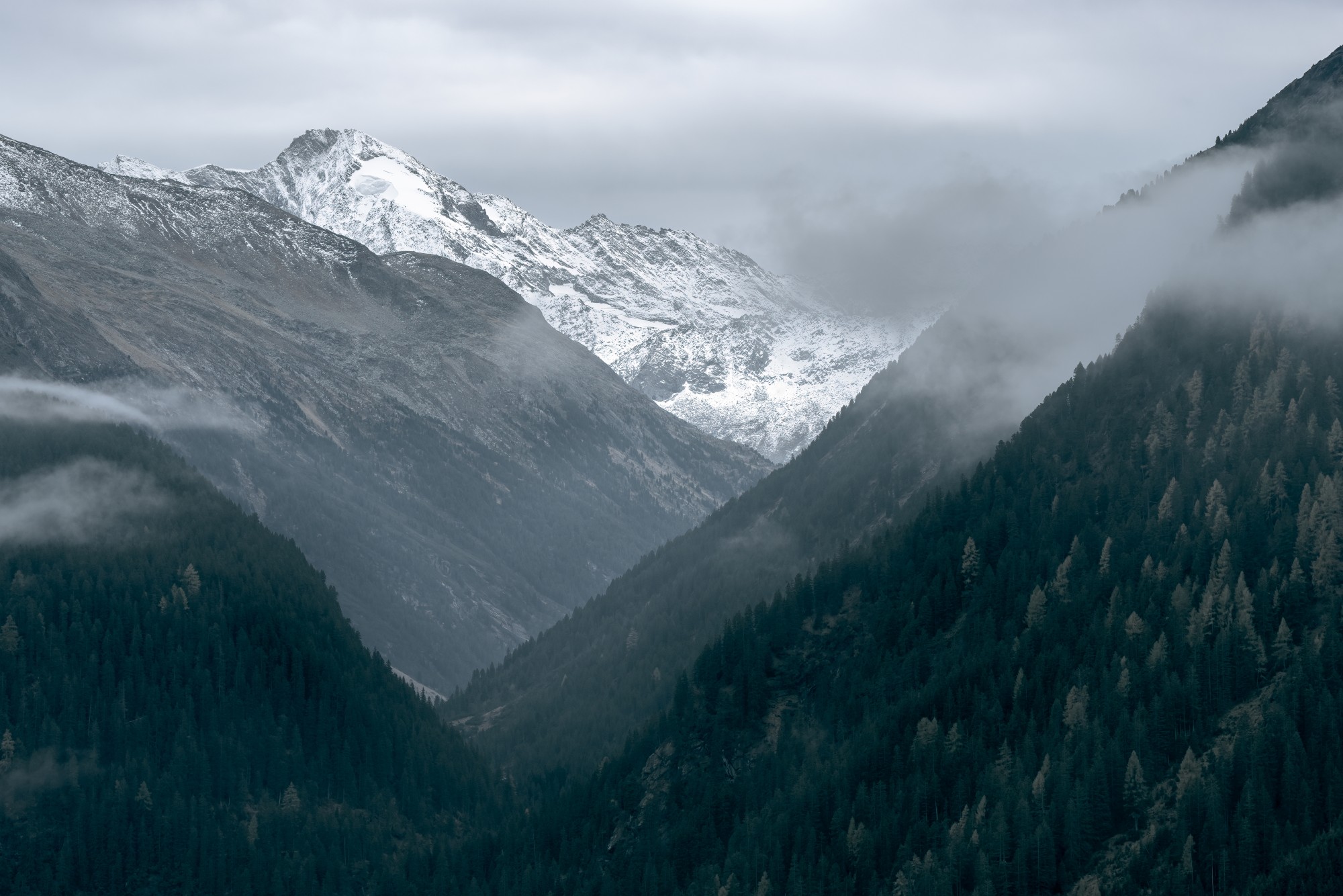 Dreiherrnspitze - Mountain Field Guide