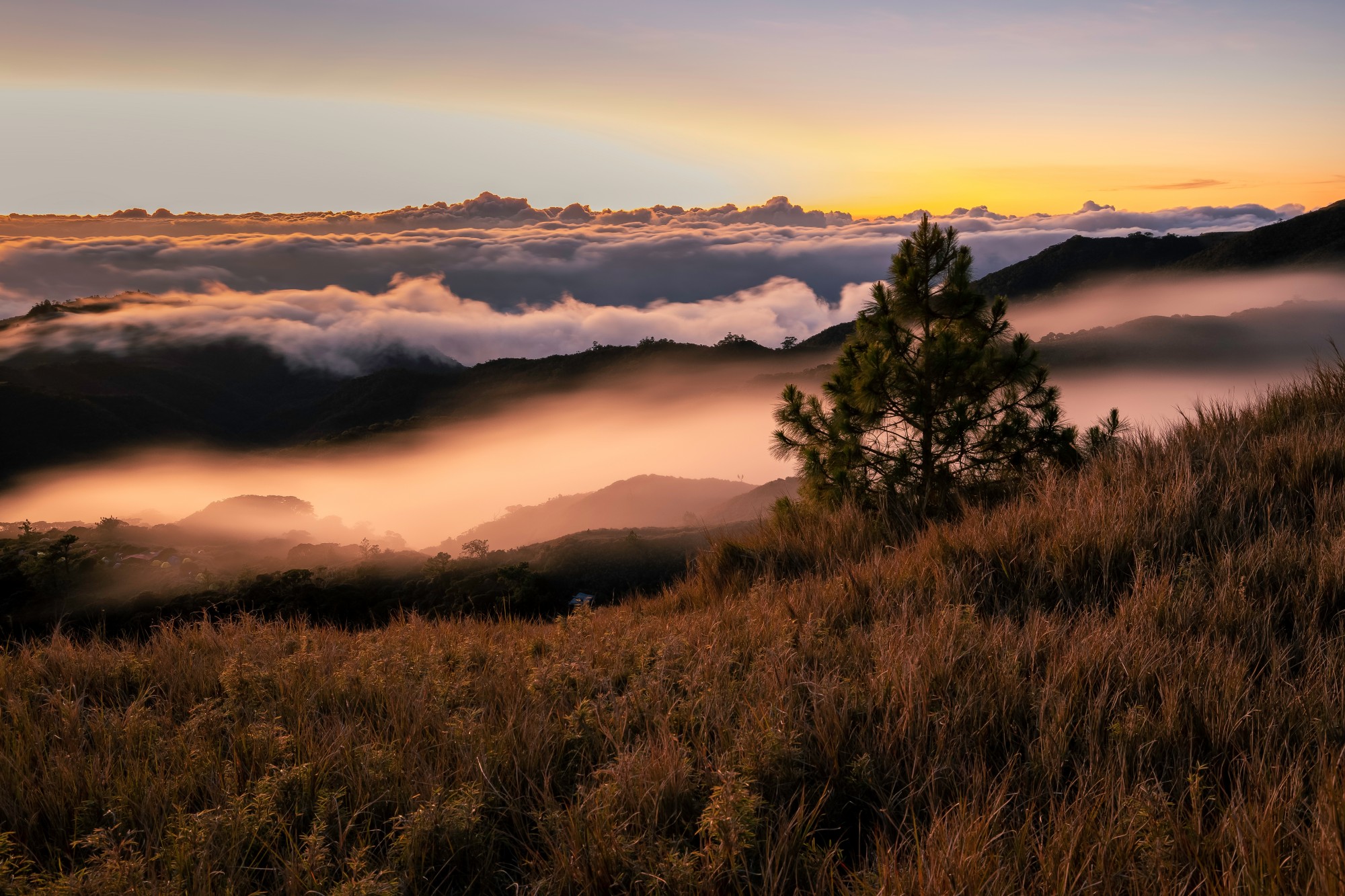 Mount Pulag - Mountain Field Guide
