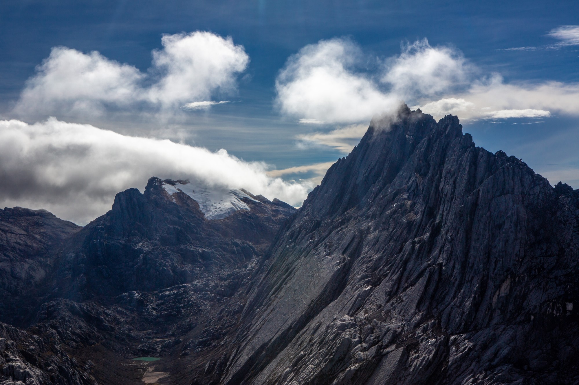 Puncak Mandala - Mountain Field Guide