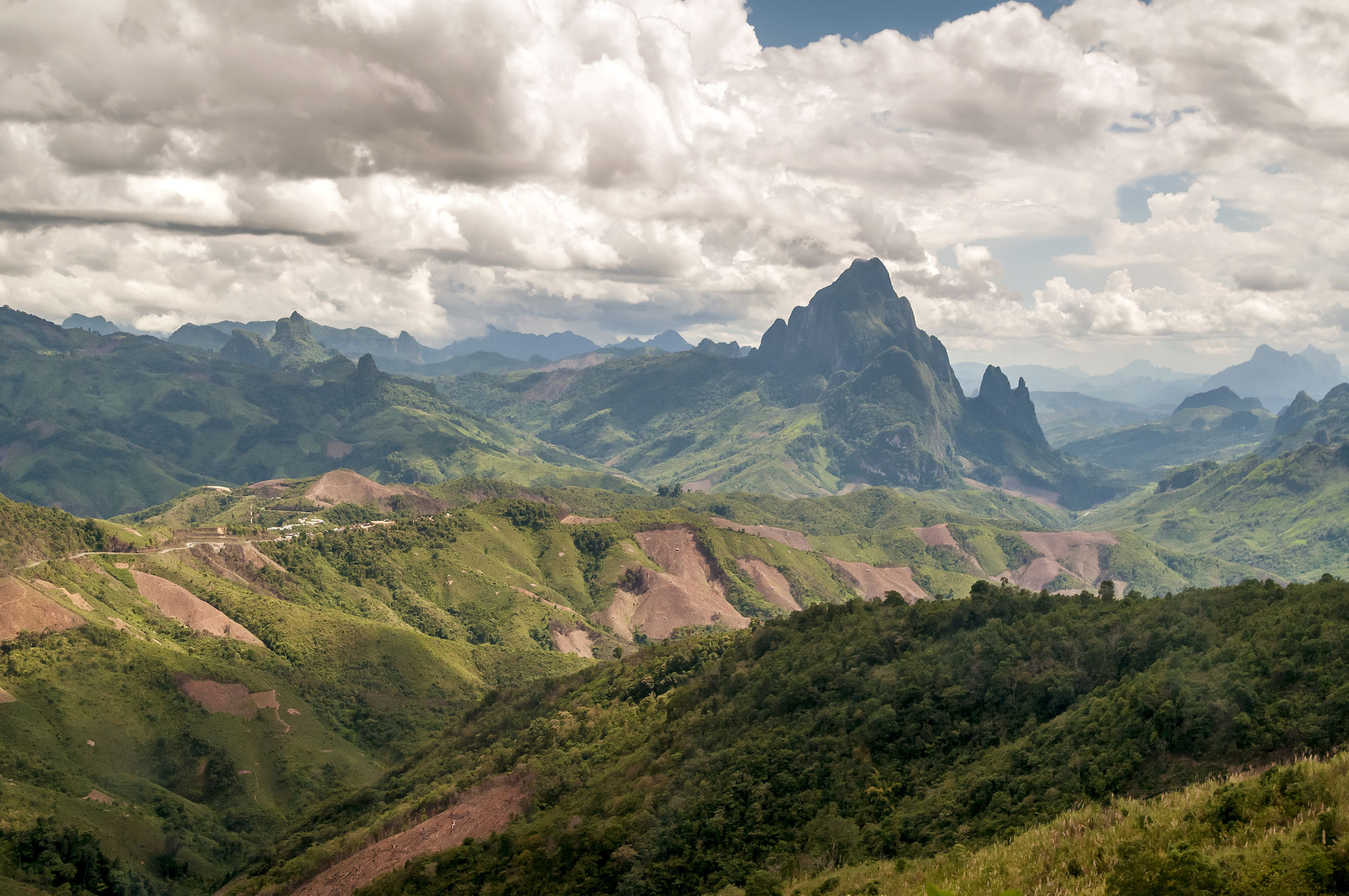 Phou Bia - Mountain Field Guide