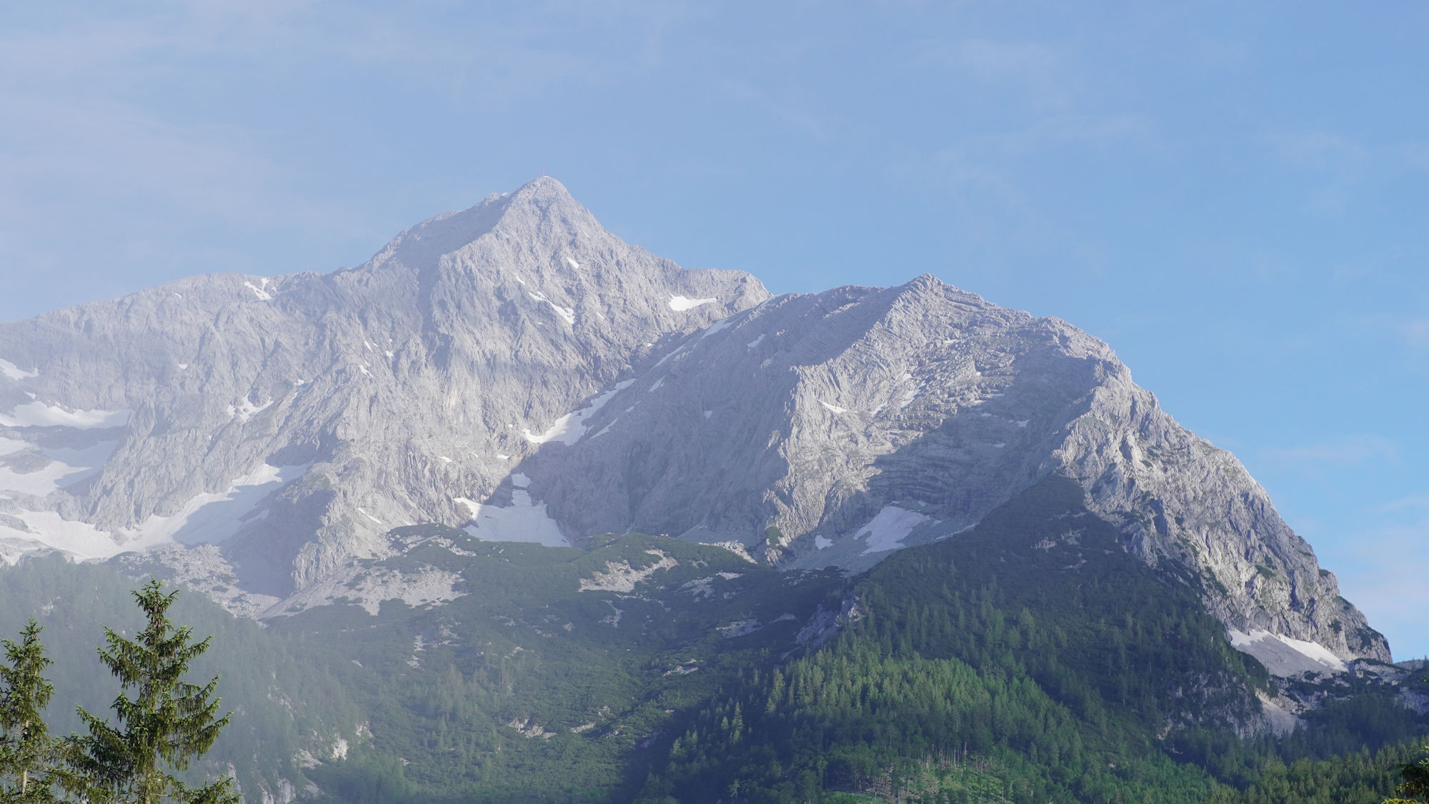 Großer Priel - Mountain Field Guide