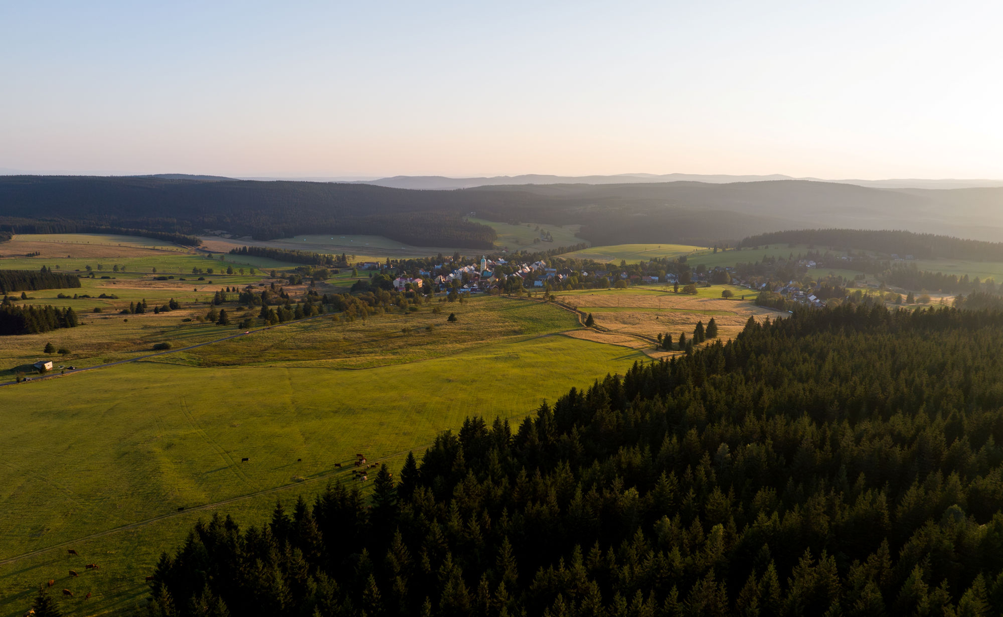 Ore Mountains - Mountain Field Guide