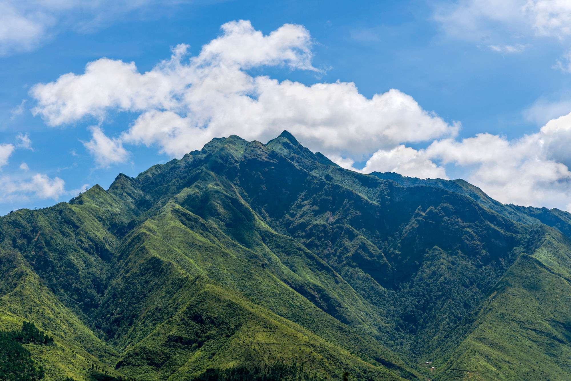 Fan Si Pan - Mountain Field Guide