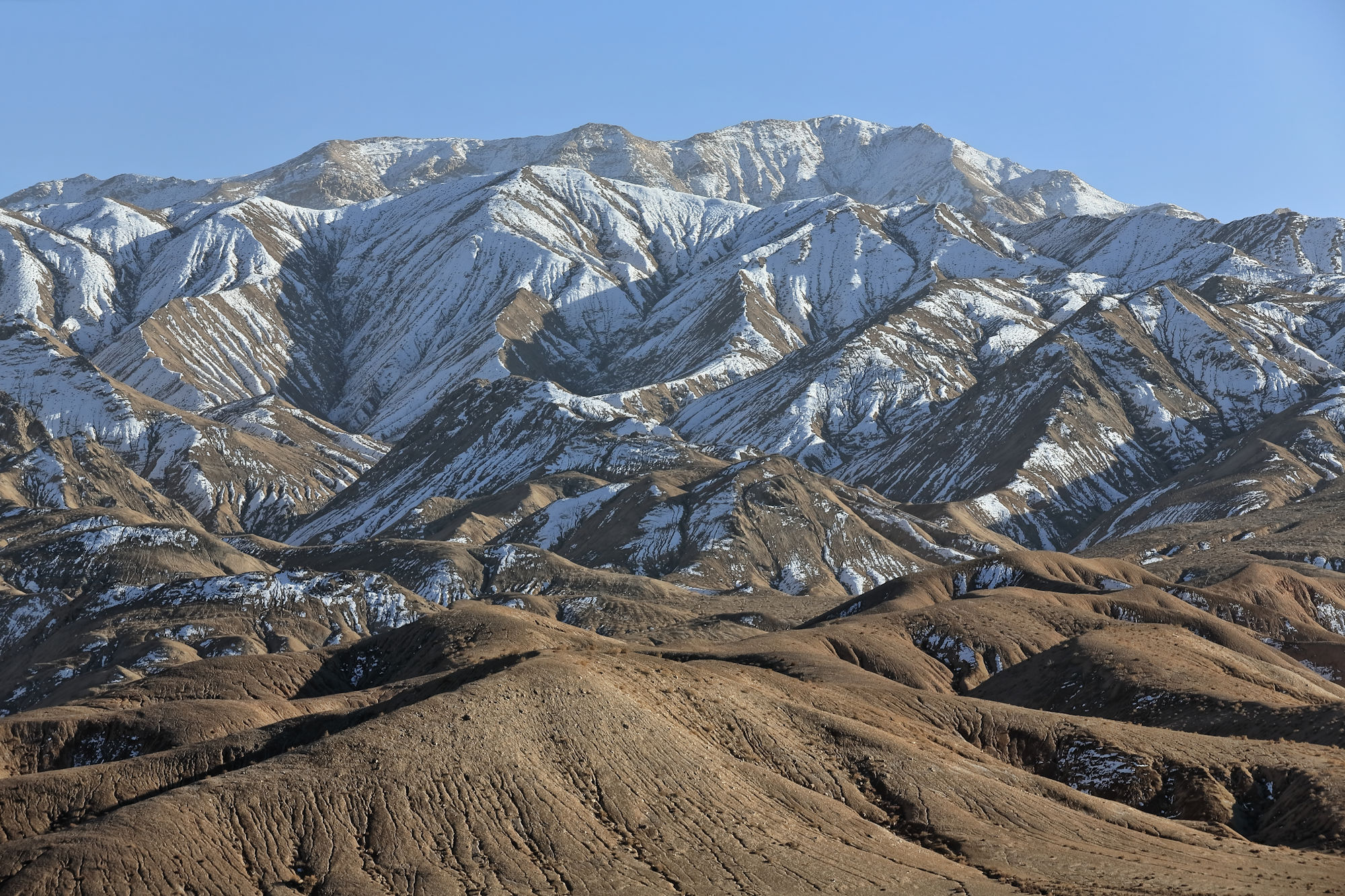 Altun Shan - Mountain Field Guide