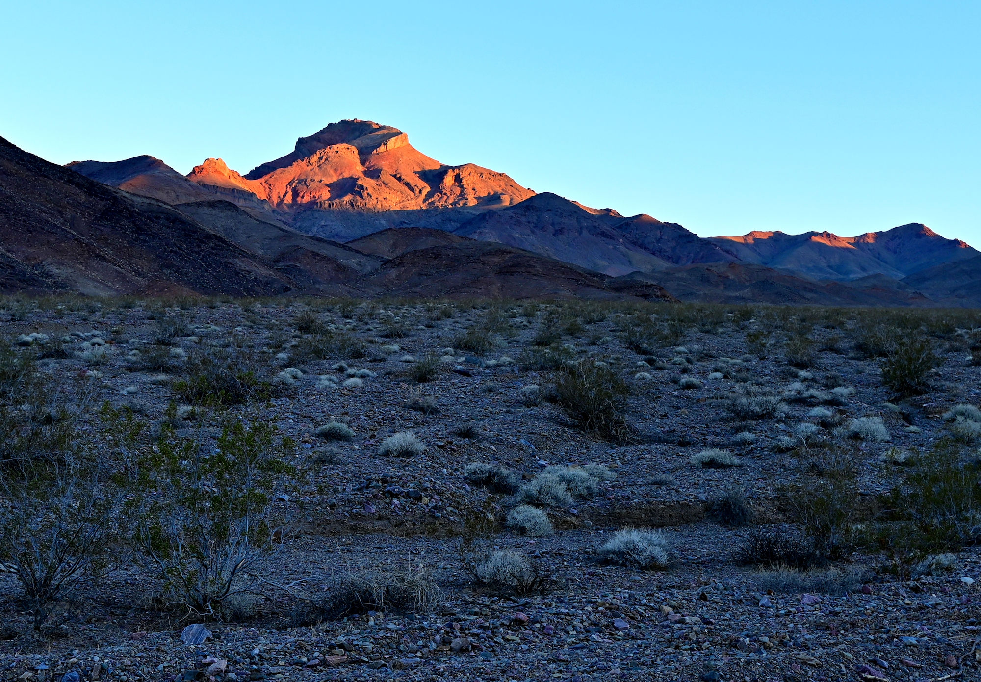 Grapevine Mountains - Mountain Field Guide