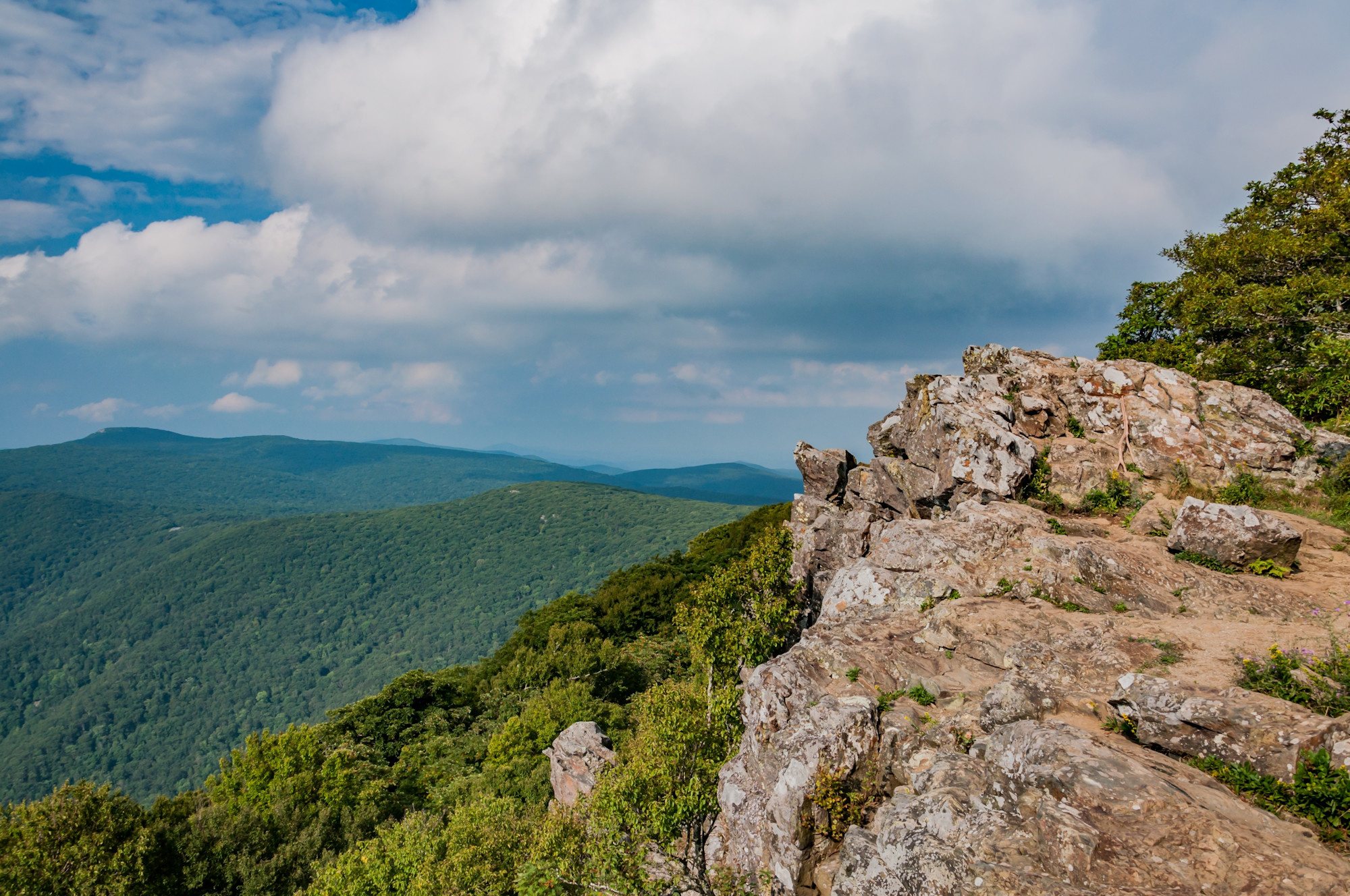 Hawksbill Mountain Mountain Field Guide
