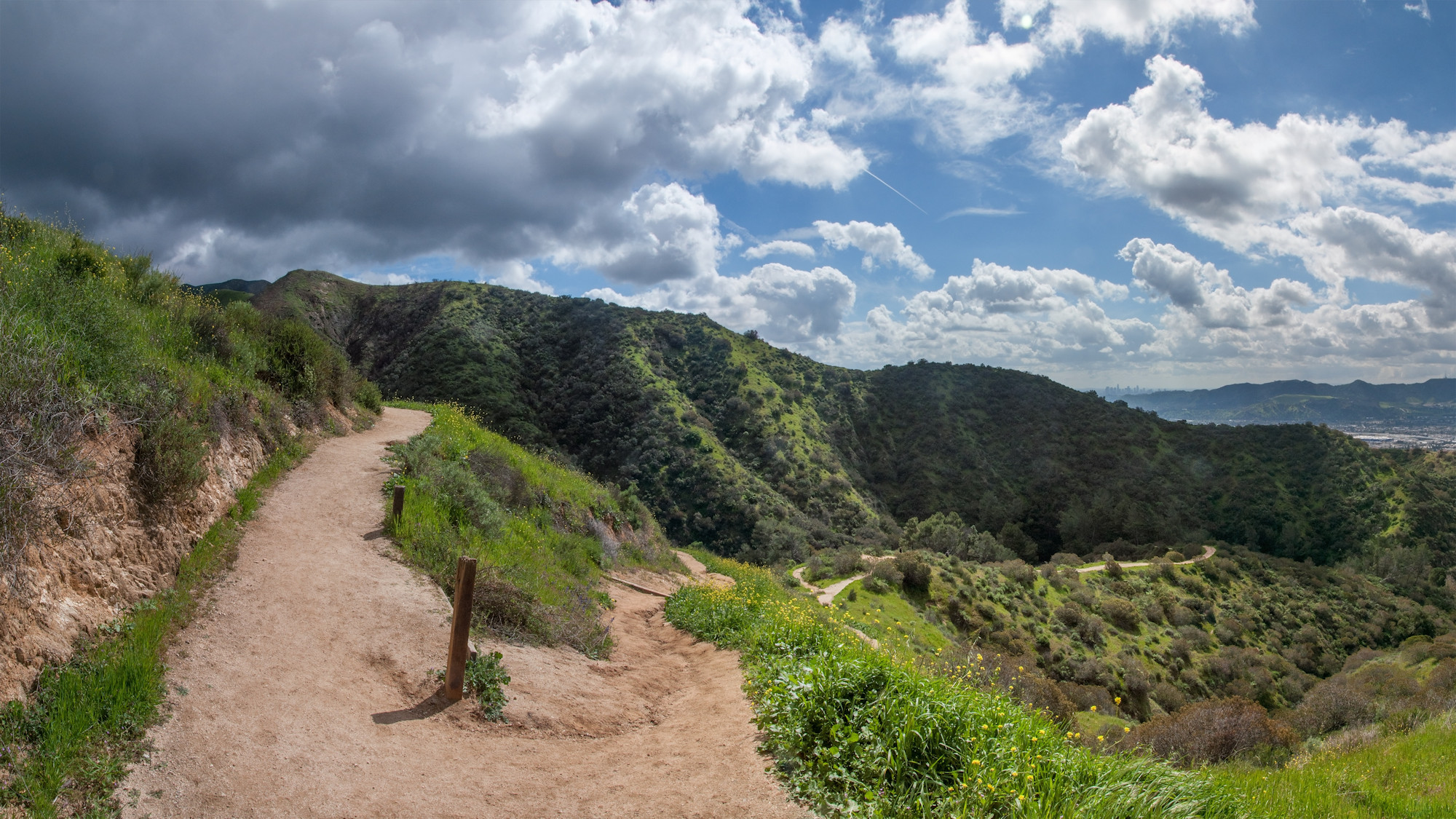 Verdugo Mountain - Mountain Field Guide