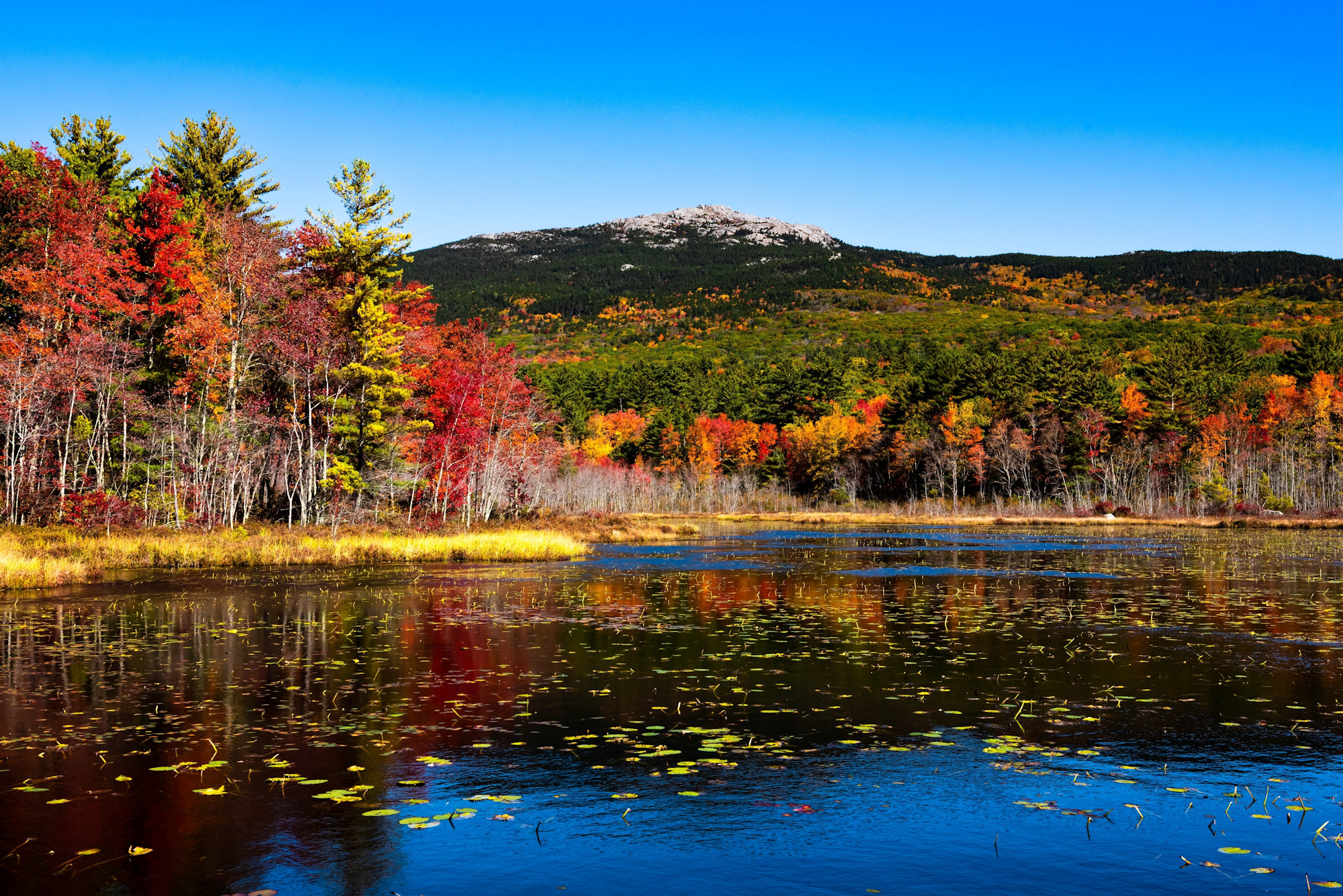 Mount Monadnock - Mountain Field Guide