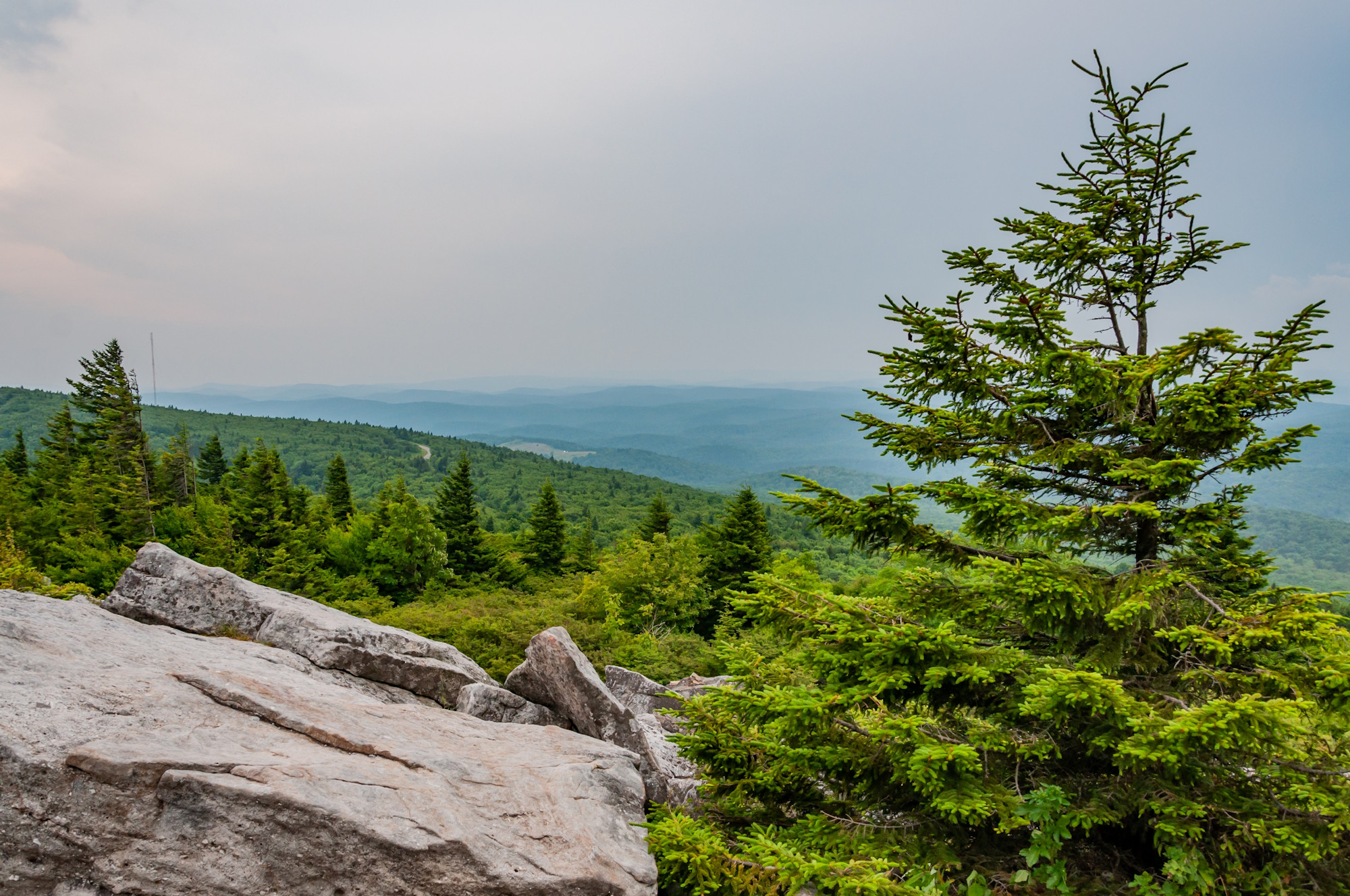 Spruce Mountain (West Virginia) - Mountain Field Guide