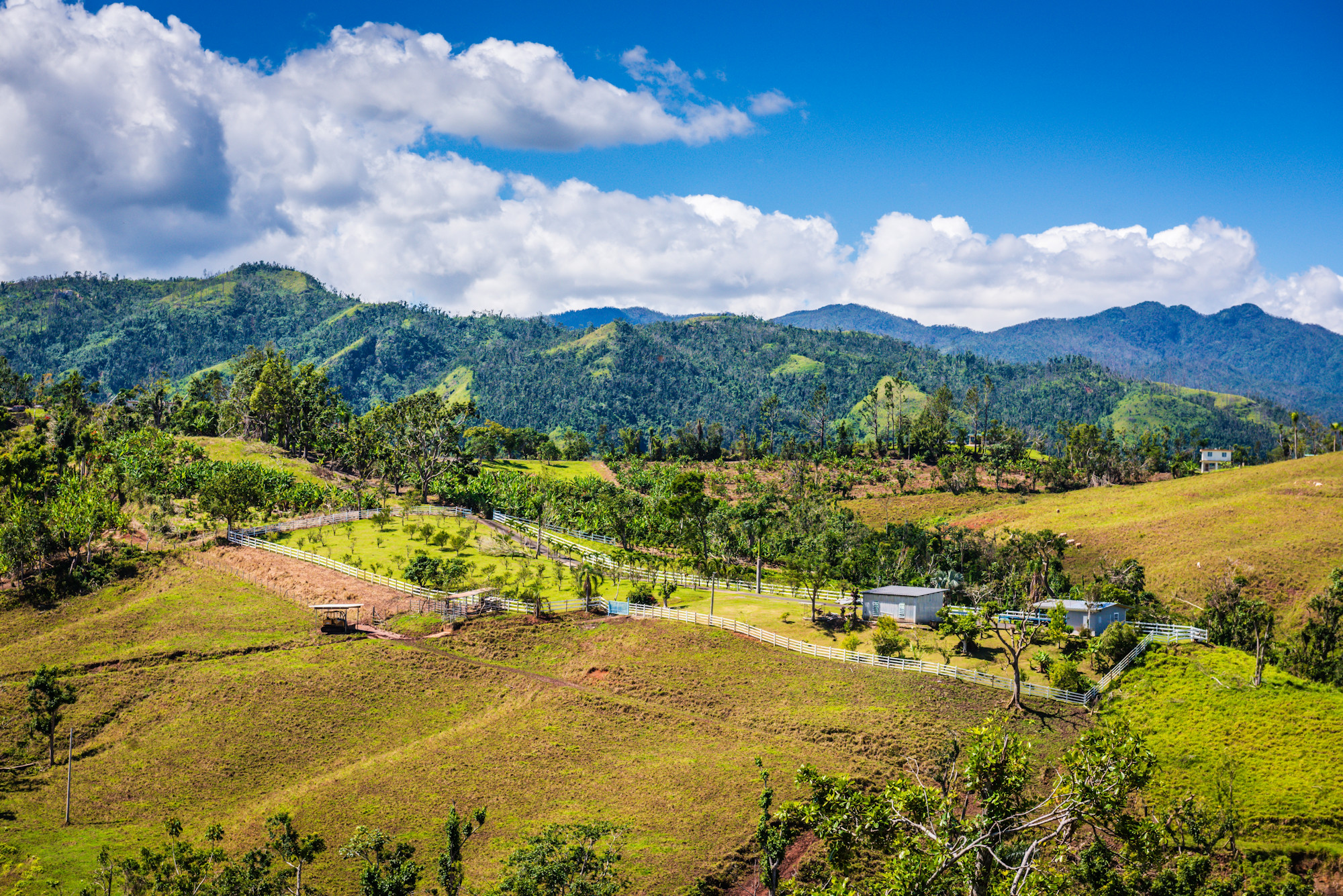 Cerro El Bolo - Mountain Field Guide